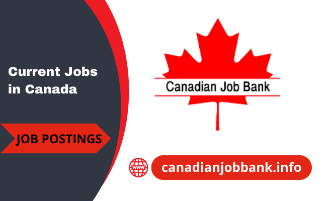 Social Work and Community Services Jobs | Top Hiring Employers - June 2026